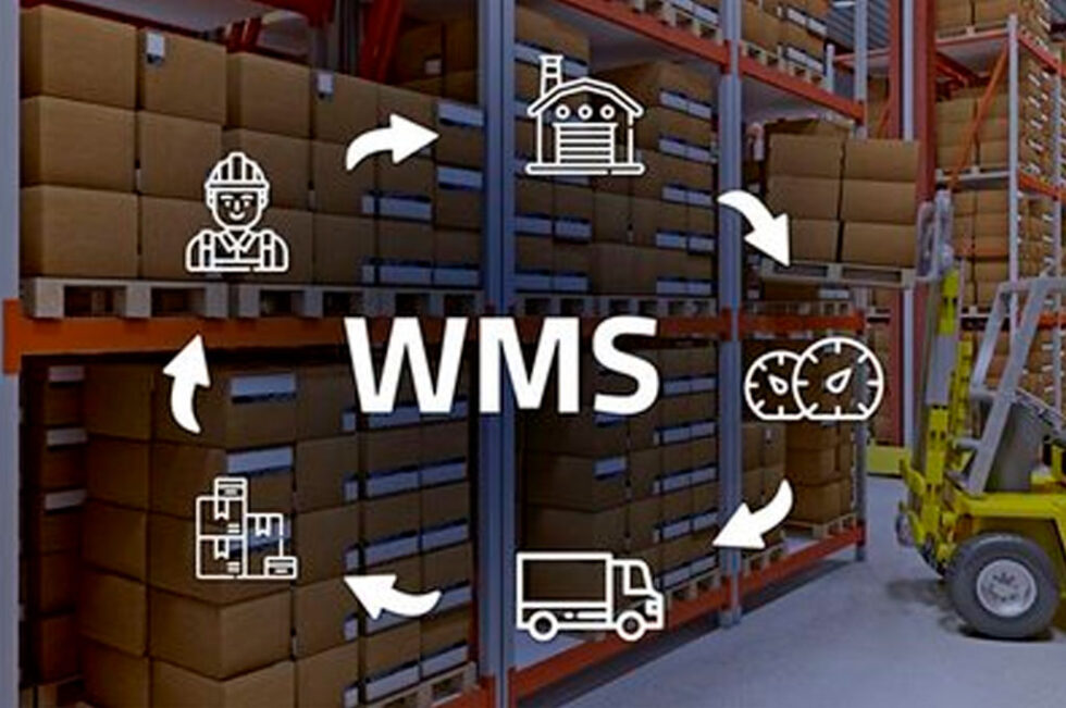 WAREHOUSE MGMT SYSTEM (TMS) | Supply Chain Consulting - Firma de ...